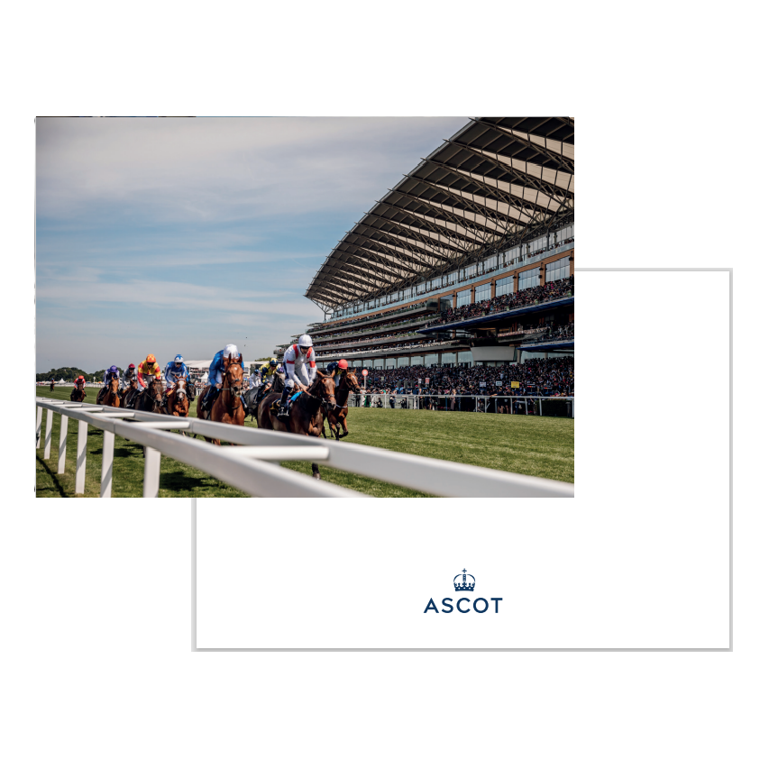 Postcard - Grandstand Race – Ascot Shop